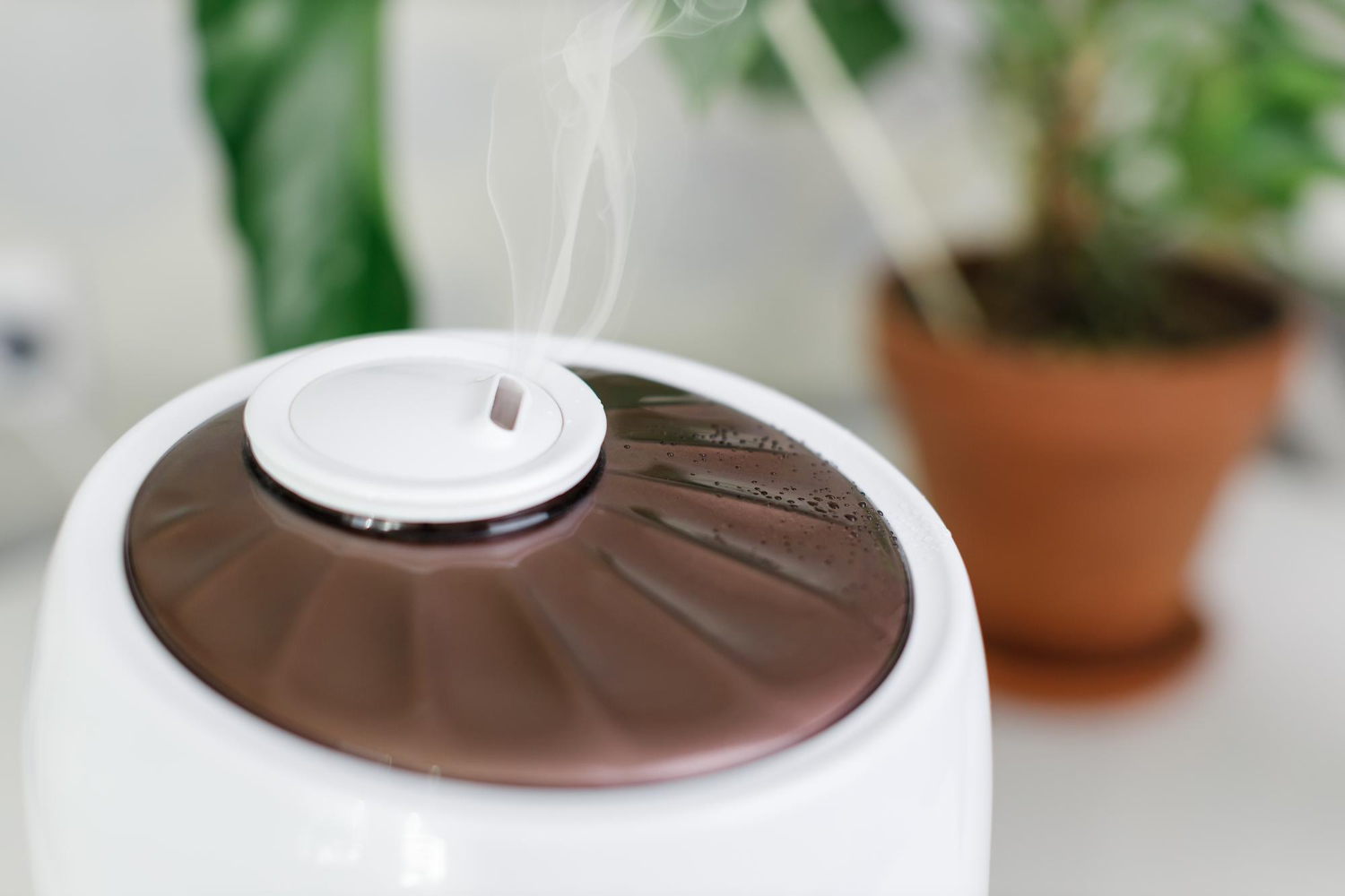 Managing Humidity at Home with Humidifiers